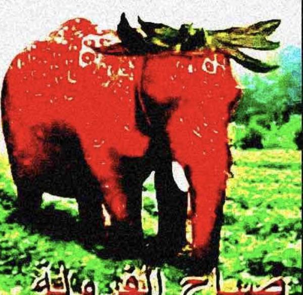 Straw🅱️erry | Arabic Strawberry Elephant | Know Your Meme