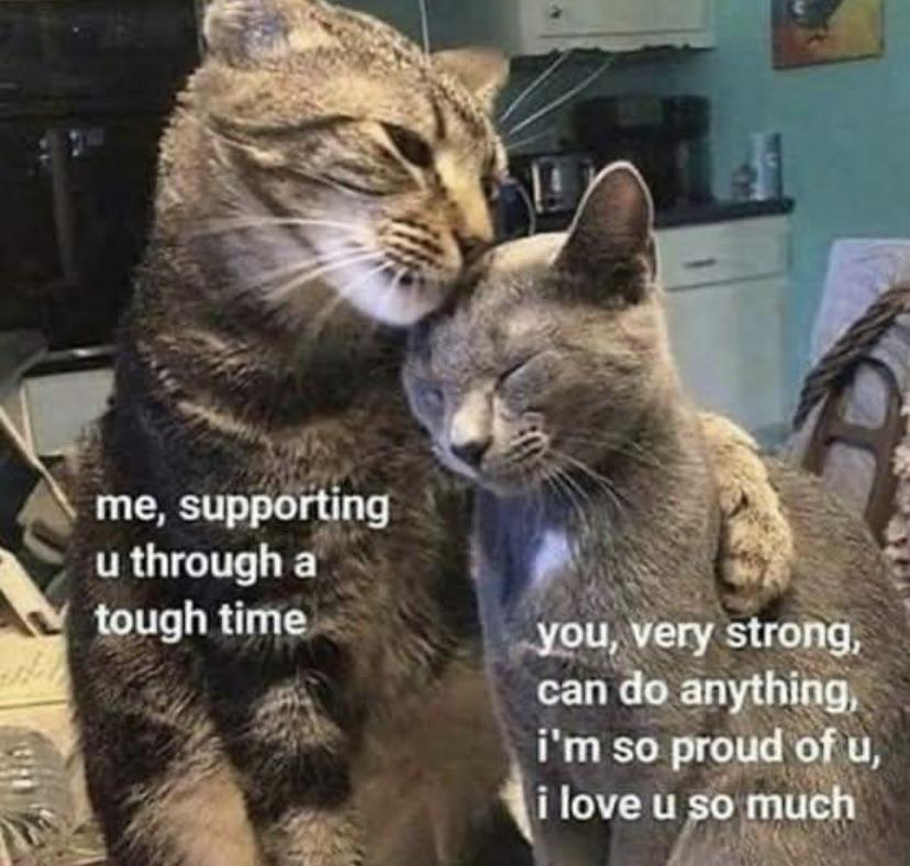 You always have support | /r/wholesomememes | Wholesome Memes | Know ...