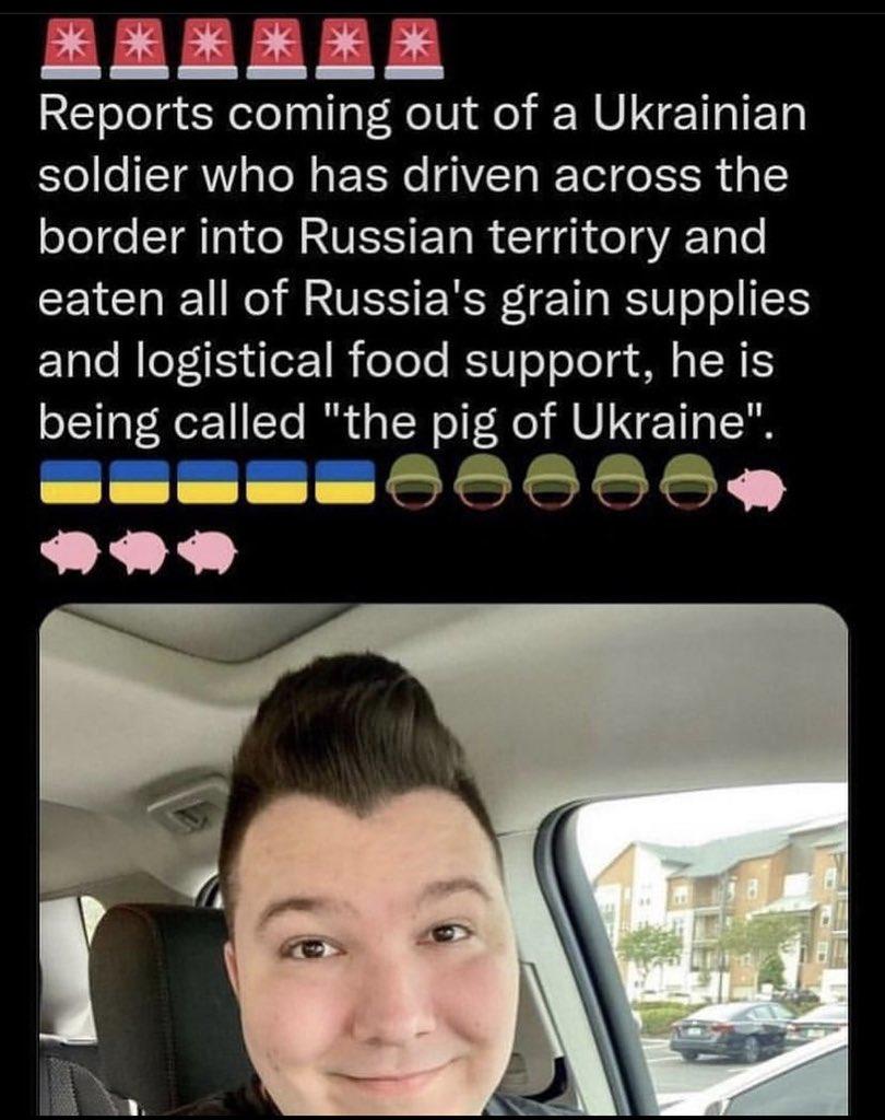 The Pig of Ukraine | Ghost of Kyiv | Know Your Meme