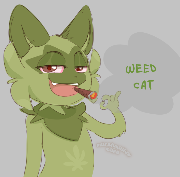 Weed cat by MarshmallowEars | Sprigatito | Know Your Meme
