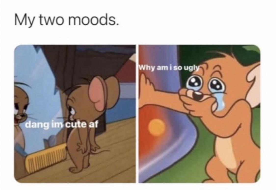 why am I like this | /r/wholesomememes | Wholesome Memes | Know Your Meme