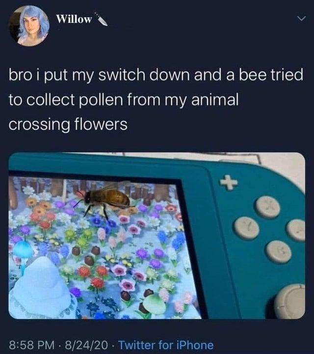 Cute | Animal Crossing | Know Your Meme