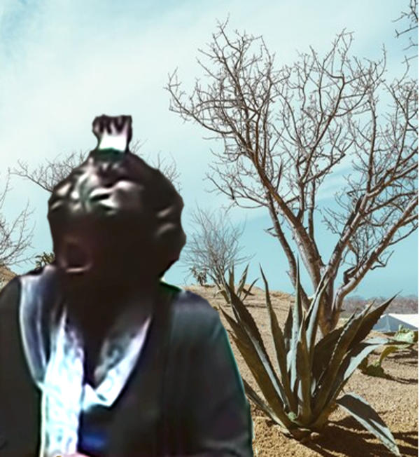 alien in the sands | America's Alien UN Rep | Know Your Meme