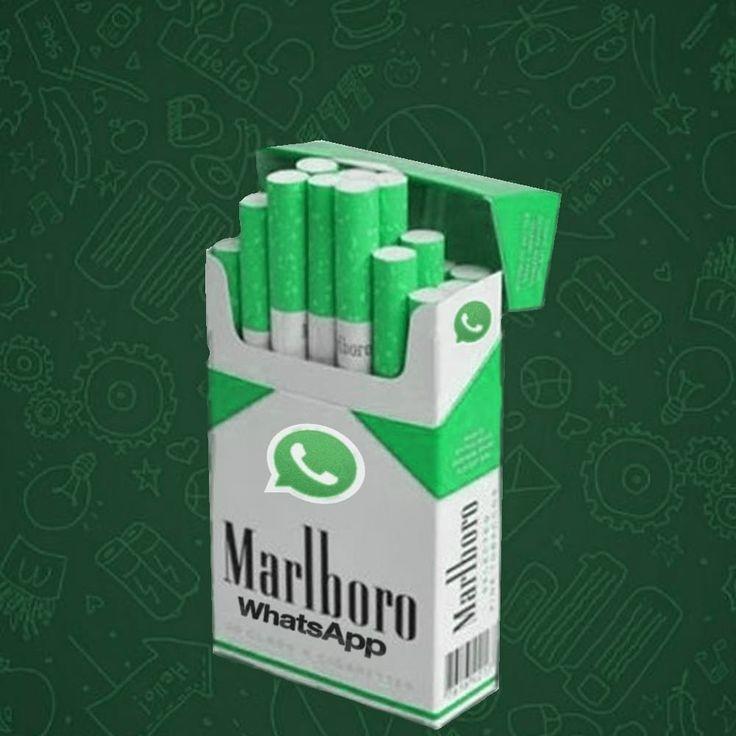 Marlboro WhatsApp | Random item WhatsApp | Know Your Meme