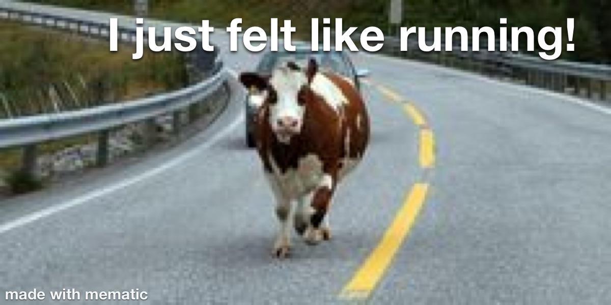 Run Bessie, Run! | /r/wholesomememes | Wholesome Memes | Know Your Meme