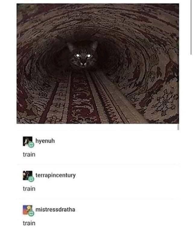 Choo Choo | Know Your Meme