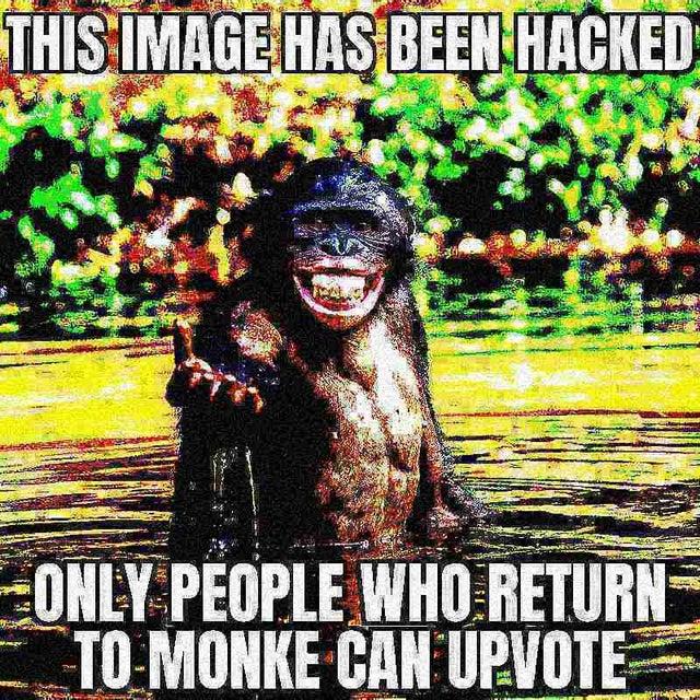 Go Ahead, Try | Deep Fried Memes | Know Your Meme