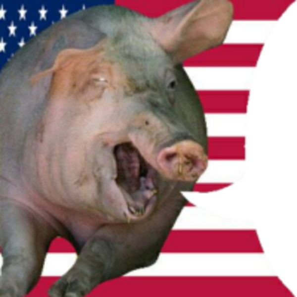weaponized-pig-example-usa-ukrainian-flag-pig-pigposting-know