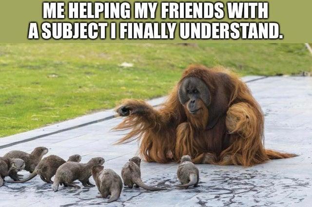 Assistance | Know Your Meme