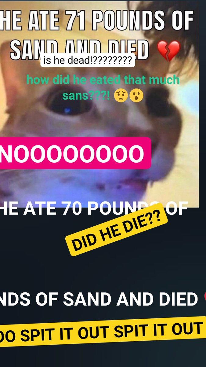 SPIT OUT THE SAND NOOO | He Ate 71 Pounds of Sand And Died | Know Your Meme