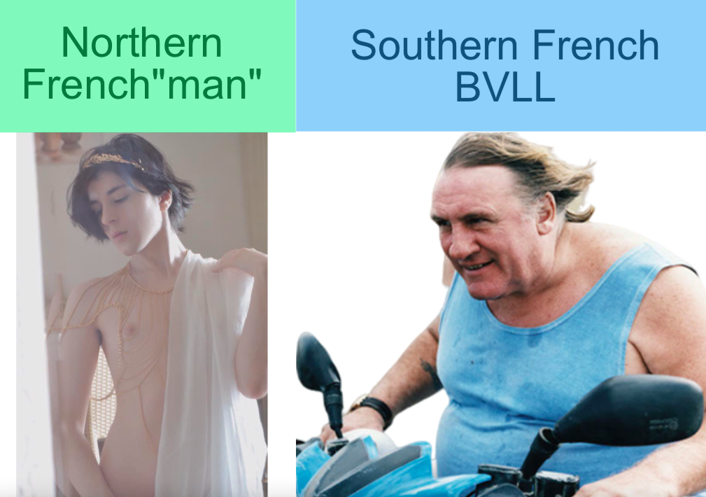 Two Types of Frenchman | /r/PoliticalCompassMemes | Political Compass ...