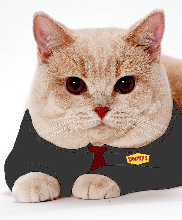Denny's Employee Gigacat | Gigacat | Know Your Meme