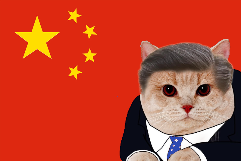 Chinese Gigacat | Gigacat | Know Your Meme