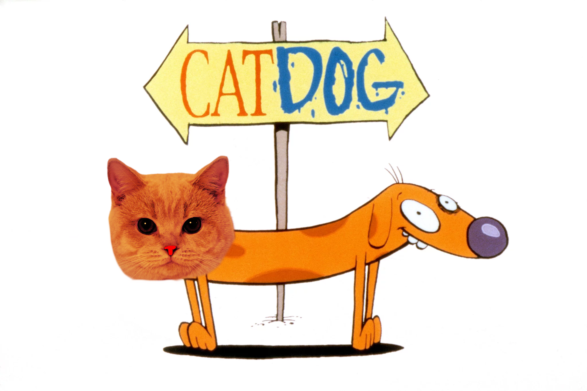 GigacatDog | Gigacat | Know Your Meme