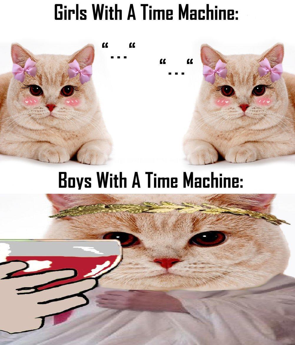 Gigacat with time machine | Gigacat | Know Your Meme