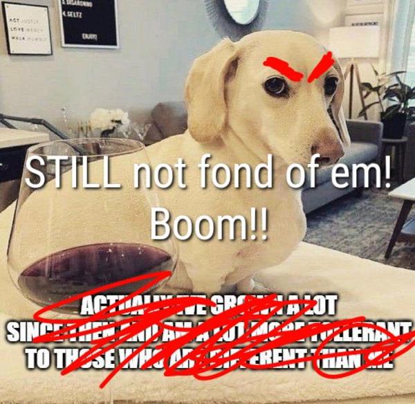 still not fond of em *vine boom* | Homophobic Dog / Not Too Fond Of Gay ...