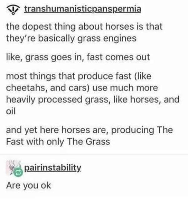 Grass goes in, fast comes out | Tumblr | Know Your Meme
