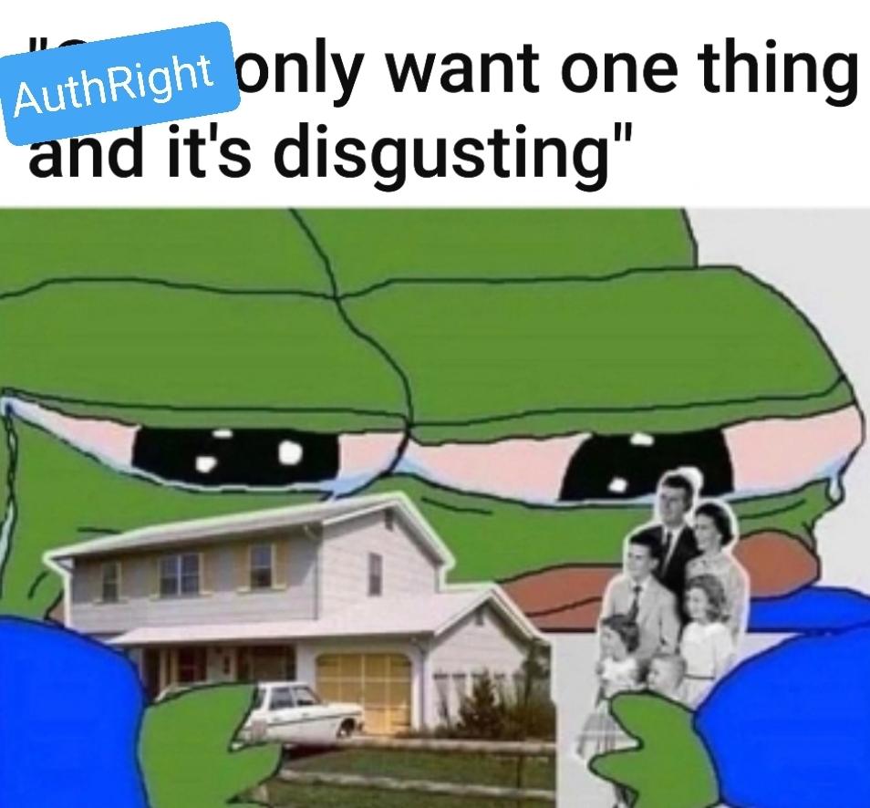 Sad to see such right-wing extremism | /r/PoliticalCompassMemes ...