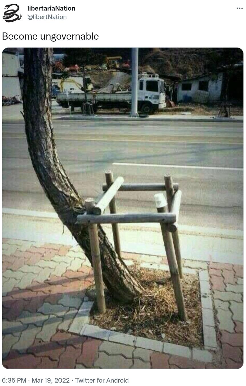 Become ungovernable | Become Ungovernable | Know Your Meme