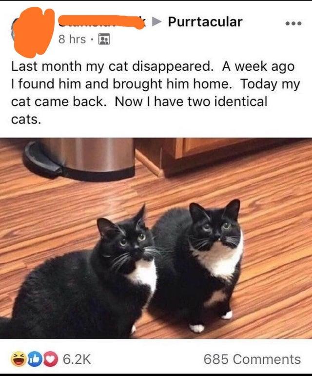 Twins | Know Your Meme