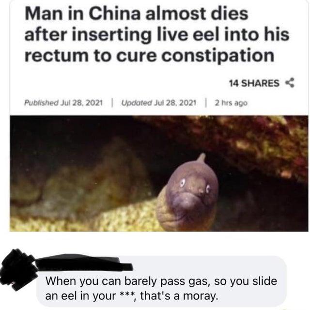 A Moray | Know Your Meme