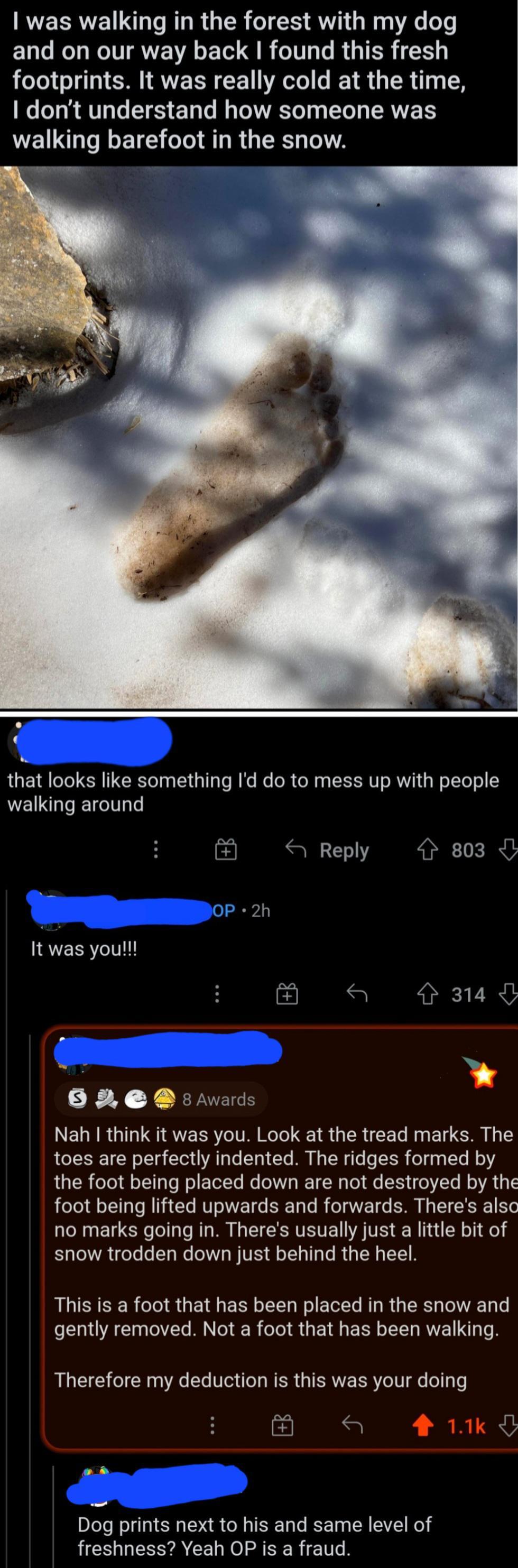 This Redditor Should Be a Detective | Know Your Meme