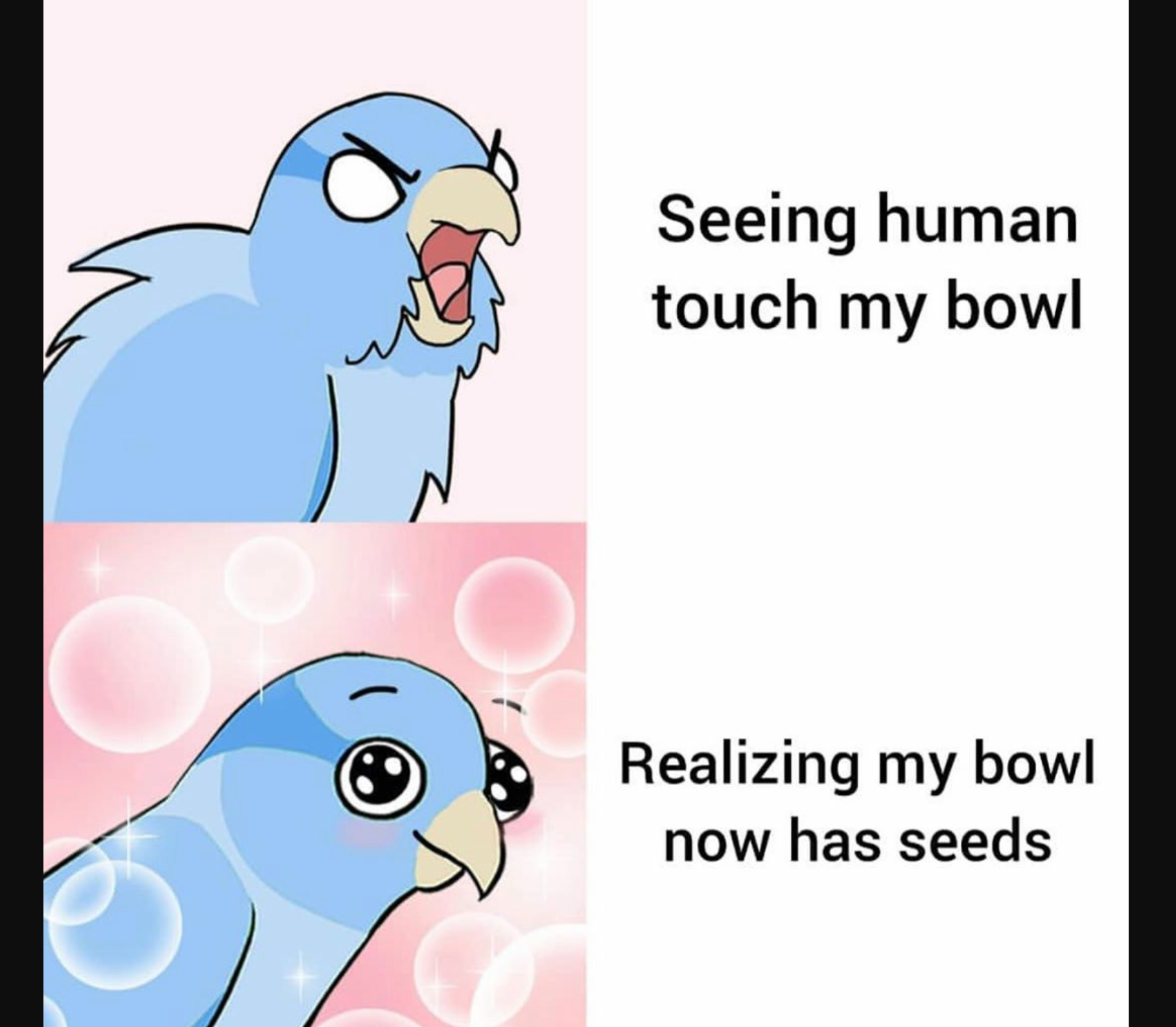 no touch only seeds | /r/wholesomememes | Wholesome Memes | Know Your Meme