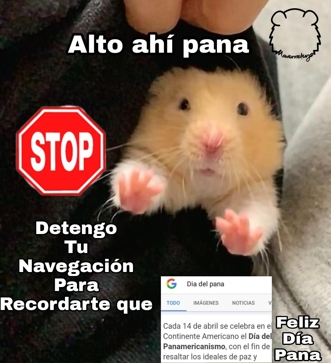 Alto Ahí Pana meme | Alto Ahí Pana | Know Your Meme