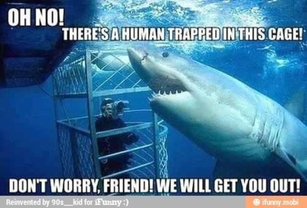 Help Is On The Way | Know Your Meme