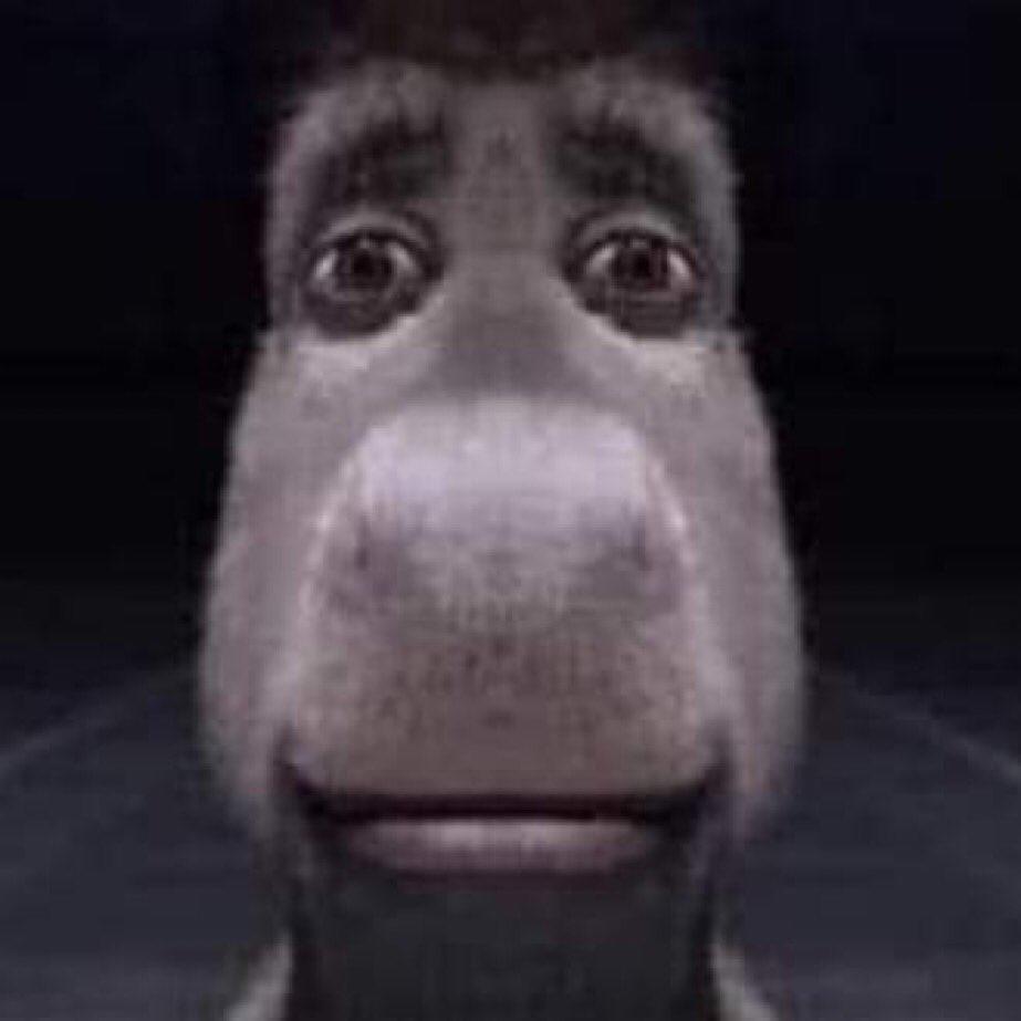 Staring Donkey (Symmetrical) | Staring Donkey | Know Your Meme