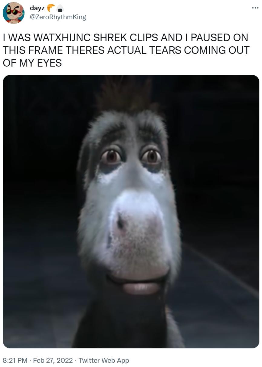 I WAS WATXHIJNC SHREK CLIPS AND I PAUSED ON THIS FRAME THERES ACTUAL ...
