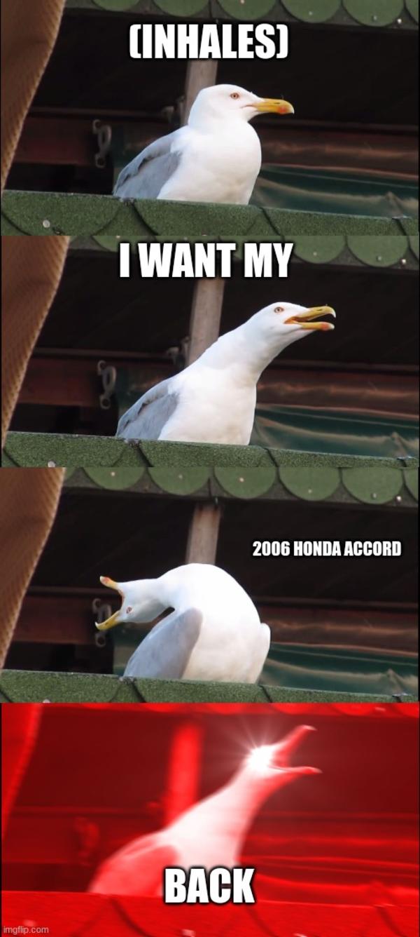 accord | Honda Accord | Know Your Meme