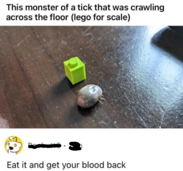 This Tick | Thanks, I Hate It | Know Your Meme