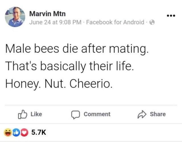 Cheerios | Know Your Meme