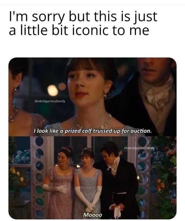 Moo | Know Your Meme