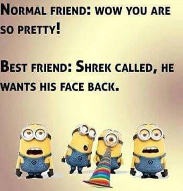 Best Friends Are The Meanest Friends | Minions | Know Your Meme