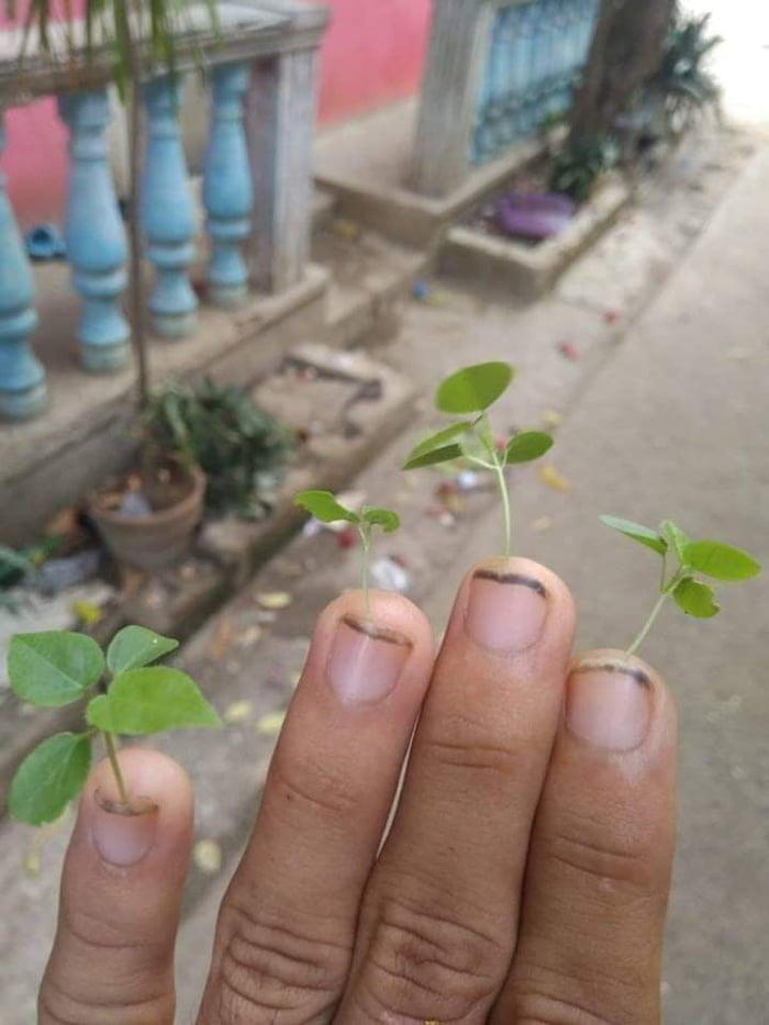 Cursed nails | Cursed Images | Know Your Meme