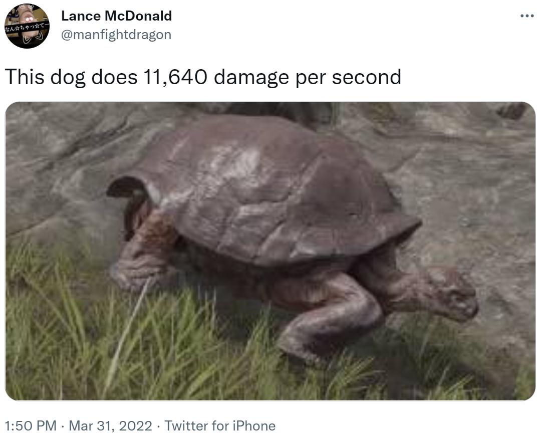 This dog does 11,640 damage per second | This Dog Does 11,640 Damage ...