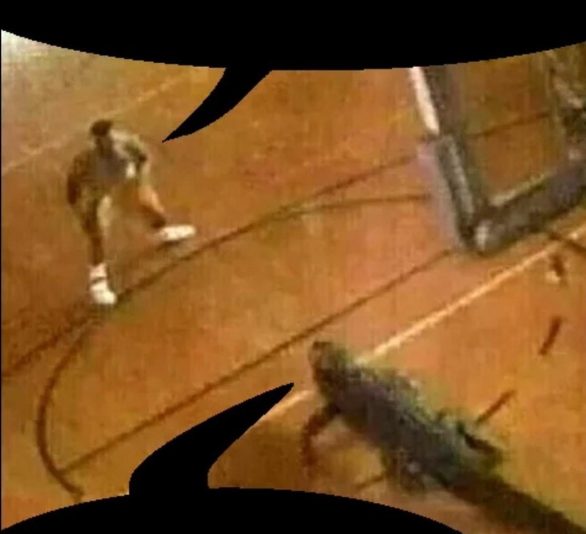 Gator | Know Your Meme