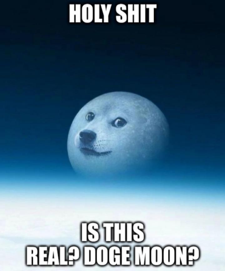 erm.... is this real? kinda frightening? | /r/dogelore | Ironic Doge ...