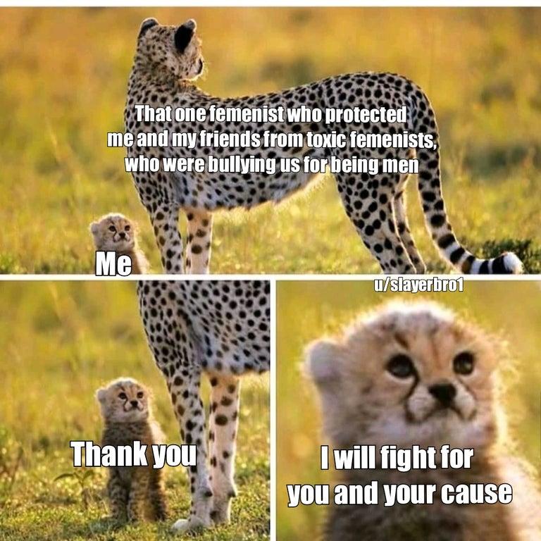 cheetah | Cheetah and Cub | Know Your Meme