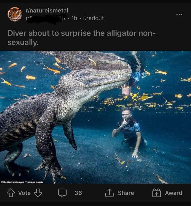 Thanks for the Clarification | Know Your Meme