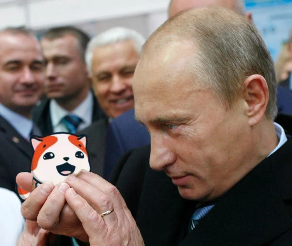 She's so cute!!! | Marsey the Cat | Know Your Meme