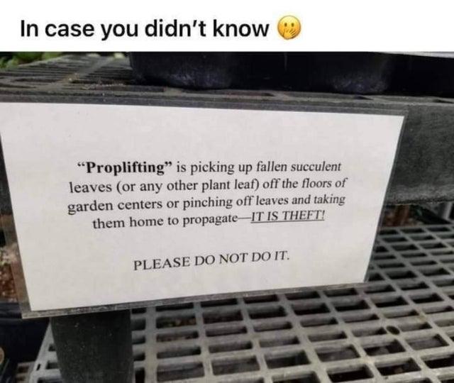 Leaf Is Theft | Know Your Meme