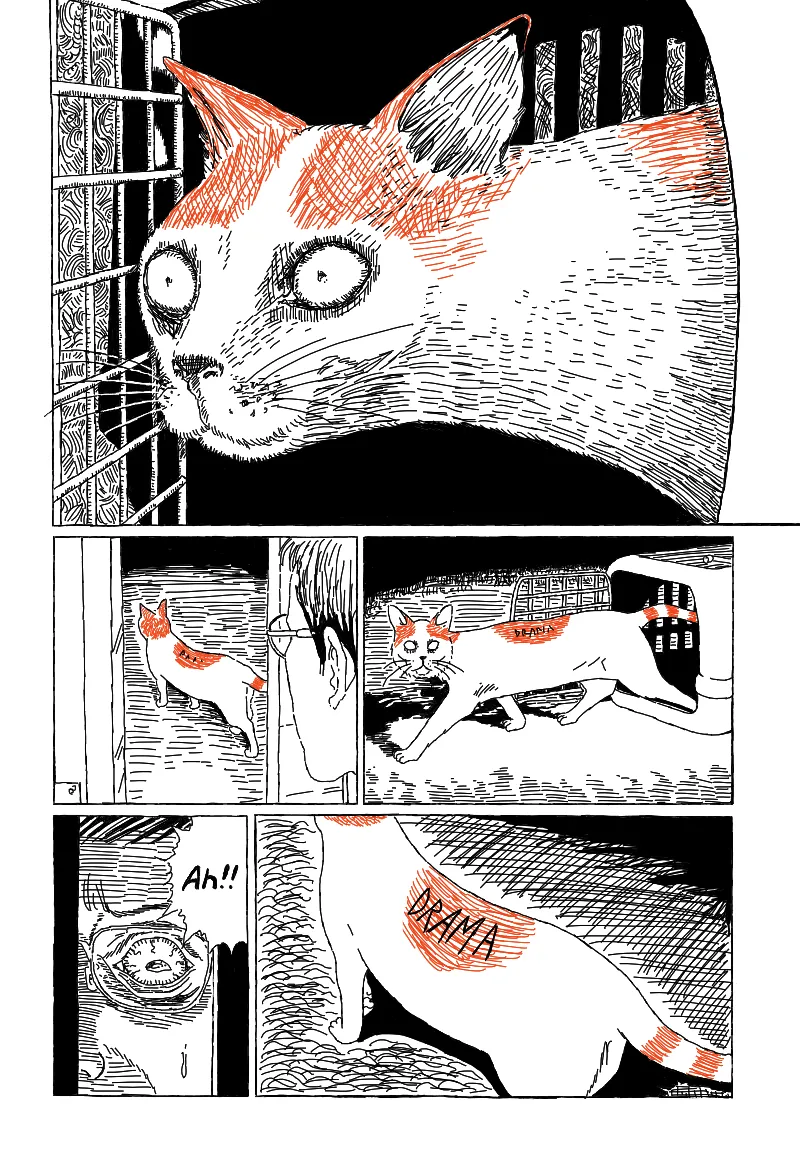 creepy manga marsey | Marsey the Cat | Know Your Meme