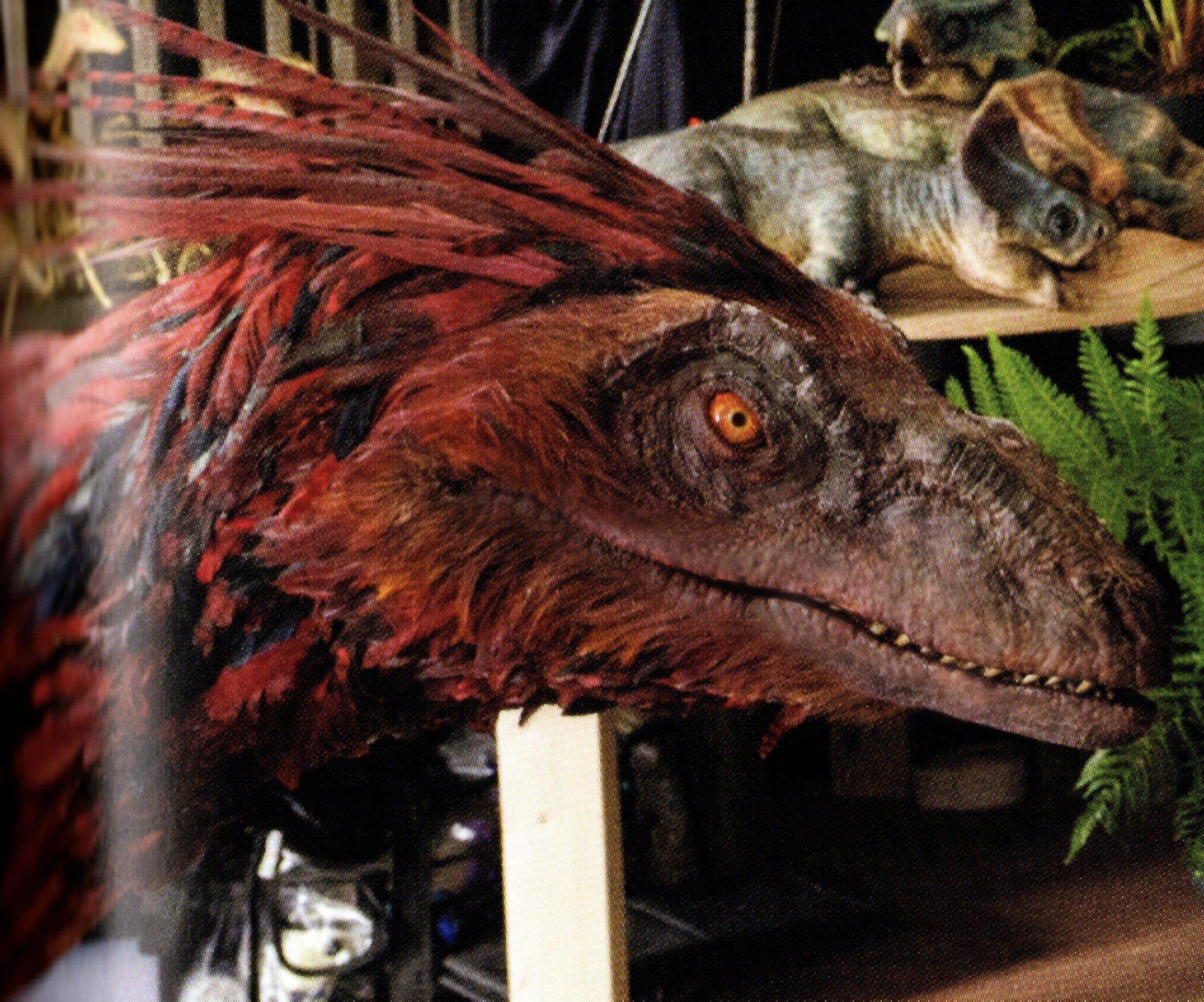 Pyroraptor redesign | Jurassic Park | Know Your Meme