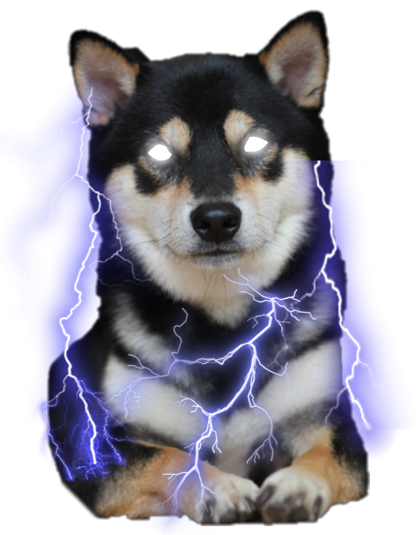 LTG | /r/dogelore | Ironic Doge Memes | Know Your Meme