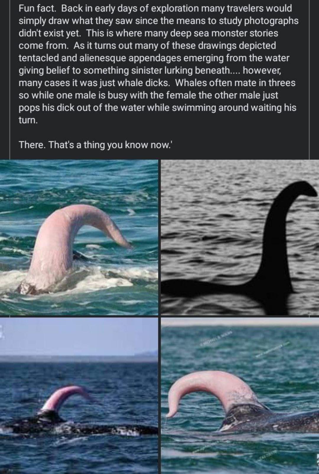 Loch Ness Monster | /r/memes | Know Your Meme