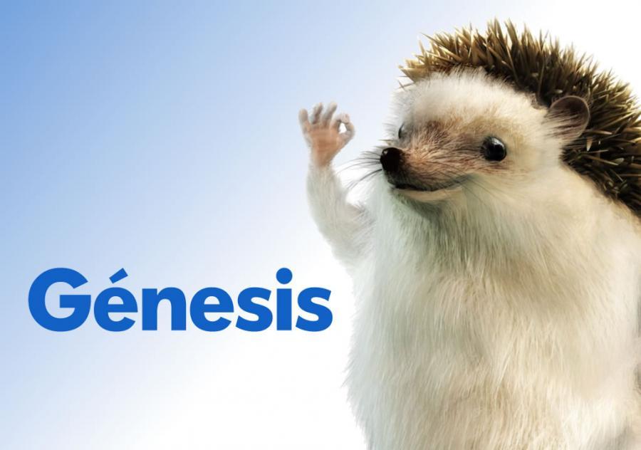 Genesis Seguros Hedgehog haha yes Ad meme | Haha Yes Hedgehog | Know ...