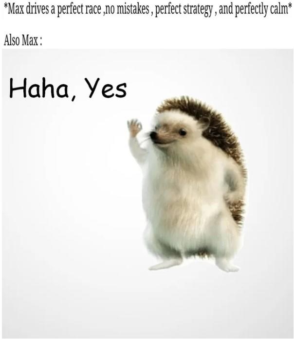 Haha ! Yes guys ! | Haha Yes Hedgehog | Know Your Meme